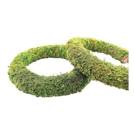 Padded Moss Effect Wreath Rings - 10" (80) | LBS Horticulture