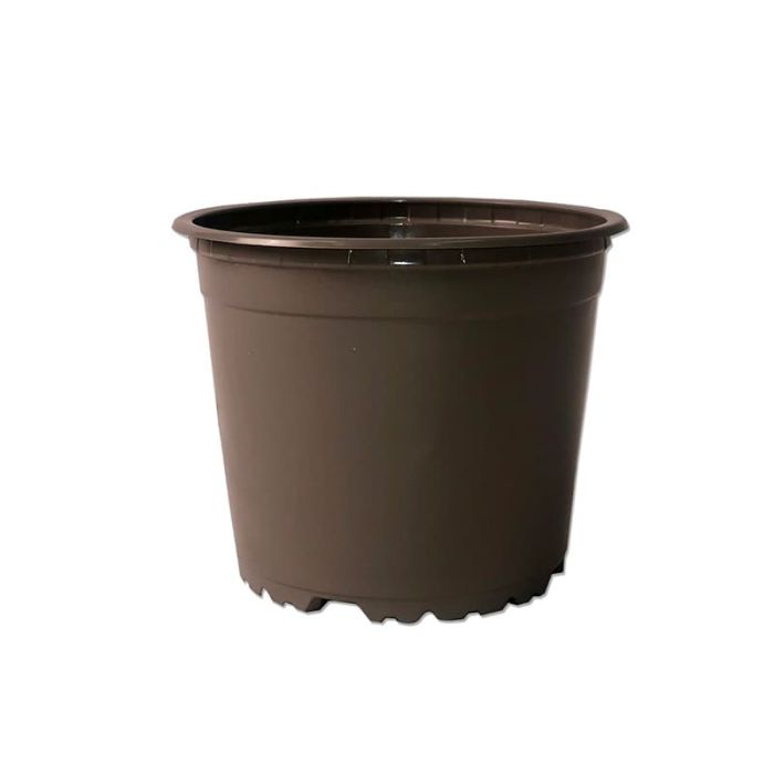 Aeroplas Recyclable Deep Rose Pots | LBS Horticulture