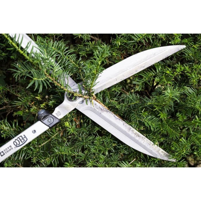Felco hedge shears store