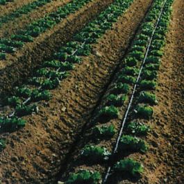 T-Tape - 16mm x 375m | LBS Horticulture